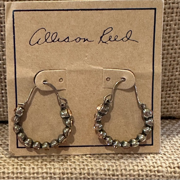 Allison Reed | Jewelry | Nwt Allison Reed Gold Tone Hoop Earrings With ...